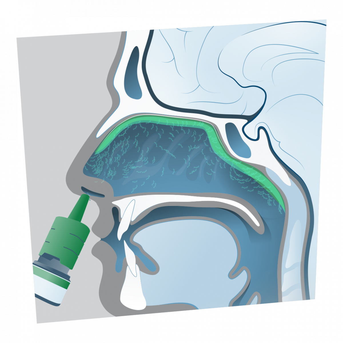 Virpax_Products_1 | Virpax Pharmaceuticals